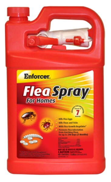 ENFORCER GAL RTU FLEA SPRAY
