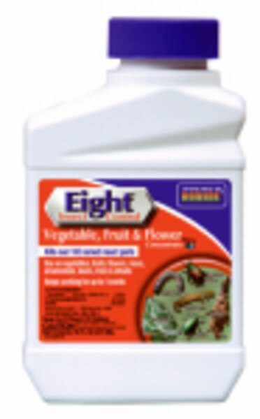 EIGHT 16 OZ INSECT CONTROL CONCENTRATE